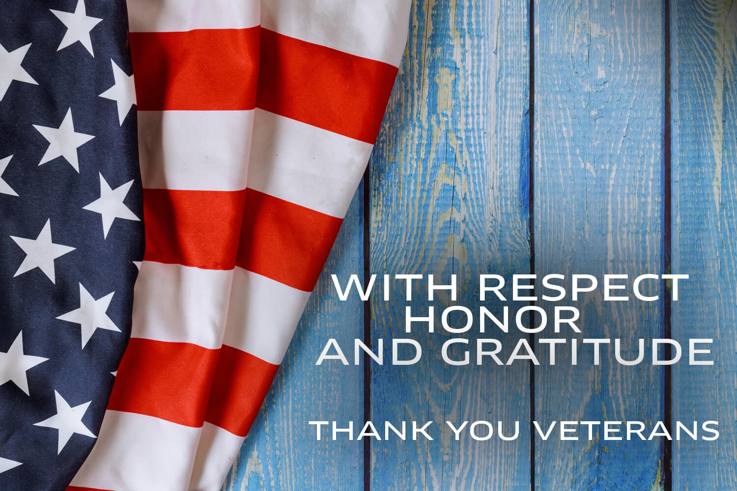 Veteran's day 2020- thank you